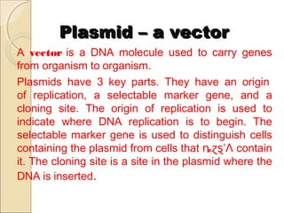Plasmid | PPT
