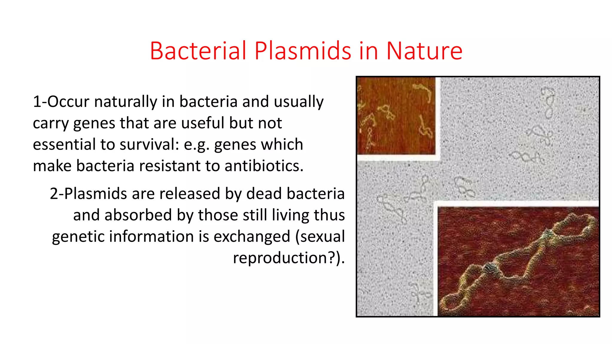 plasmid .genetic engineering.pptx
