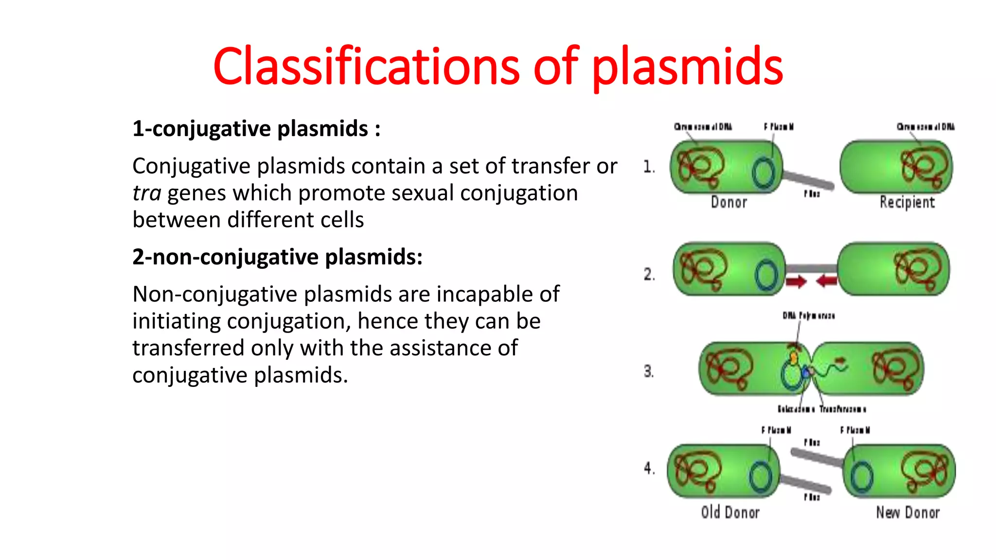 plasmid .genetic engineering.pptx