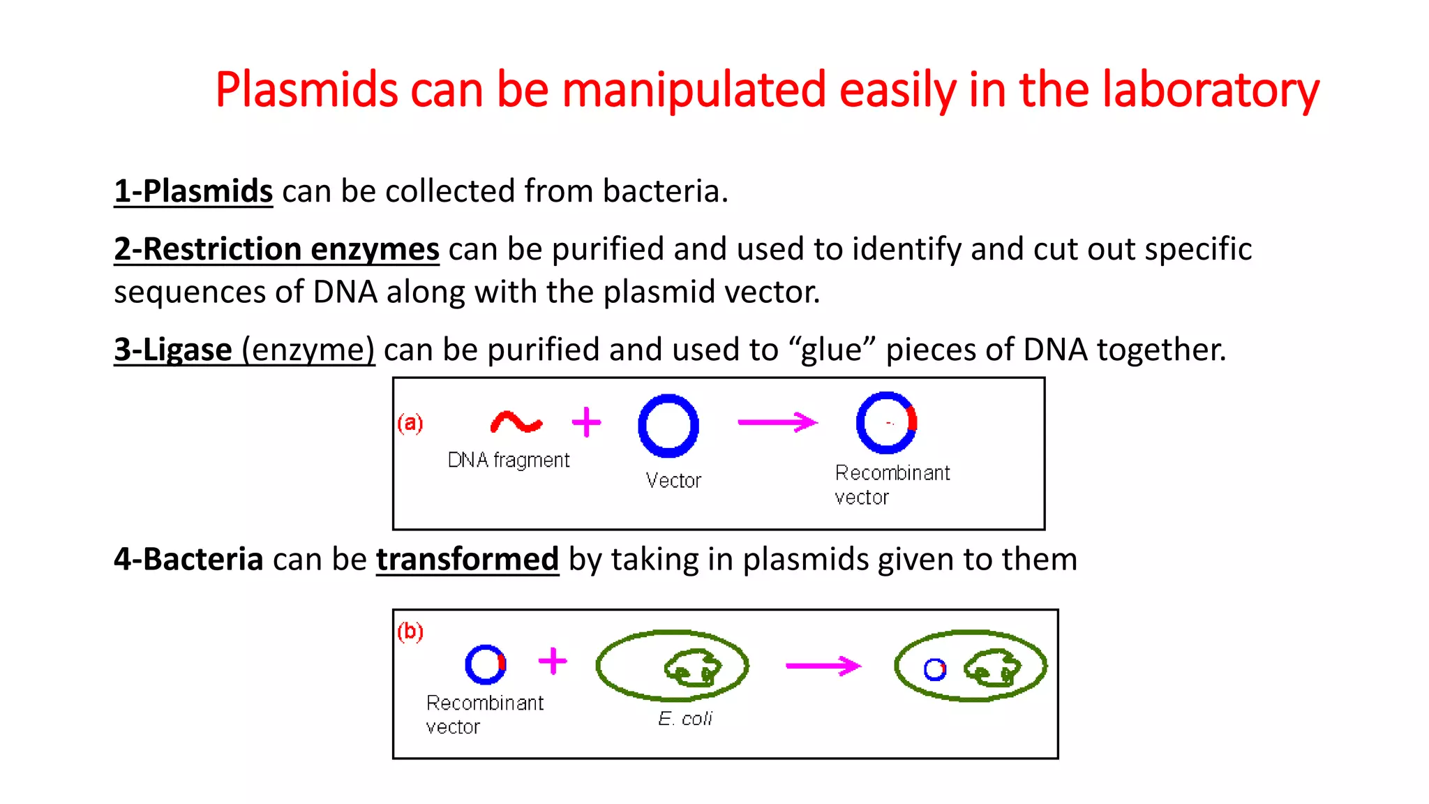 plasmid .genetic engineering.pptx