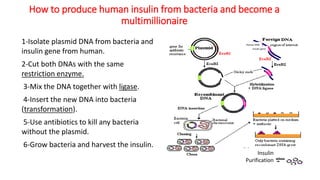 plasmid .genetic engineering.pptx
