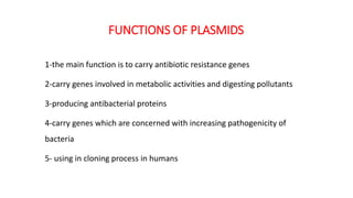 plasmid .genetic engineering.pptx