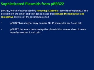 Plasmids Vectors in recombinant dna technology (pBR322) | PPTX