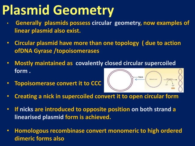 Plasmids Vectors in recombinant dna technology (pBR322) | PPTX ...