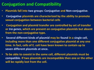 Plasmids Vectors in recombinant dna technology (pBR322) | PPTX