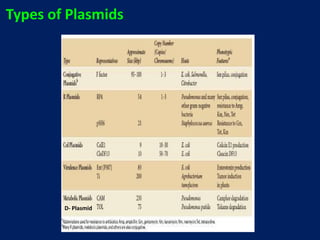 Plasmids Vectors in recombinant dna technology (pBR322) | PPTX