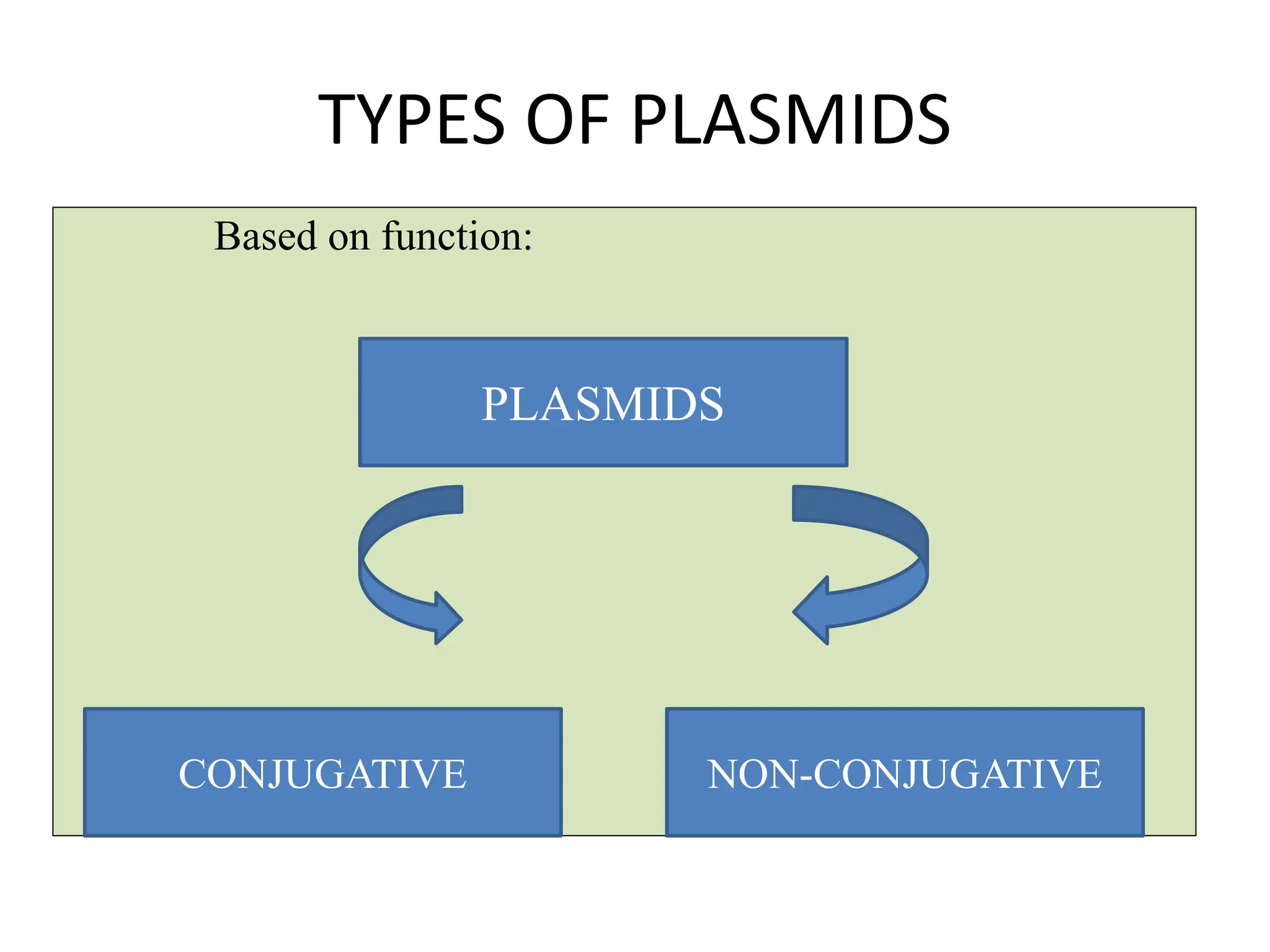 Plasmid: types, structure and functions. | PPTX