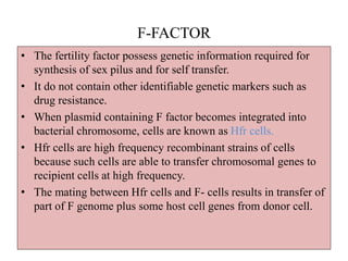 Plasmid: types, structure and functions. | PPTX