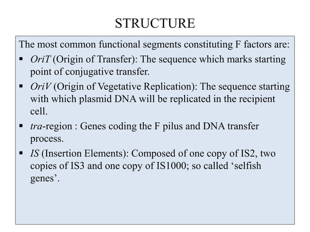 Plasmid: types, structure and functions. | PPTX