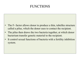 Plasmid: types, structure and functions. | PPTX