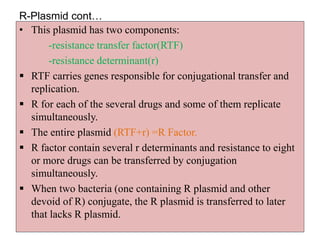 Plasmid: types, structure and functions. | PPTX