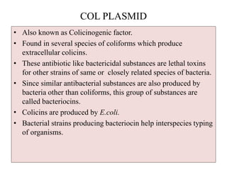 Plasmid: types, structure and functions. | PPTX