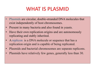 Plasmid: types, structure and functions. | PPTX