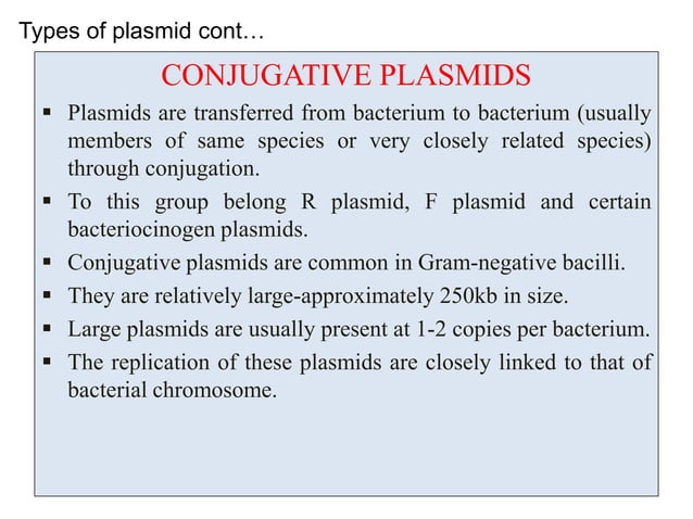 Plasmid: types, structure and functions. | PPTX