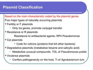 Plasmid and-its-genome-by shahla abid | PPT