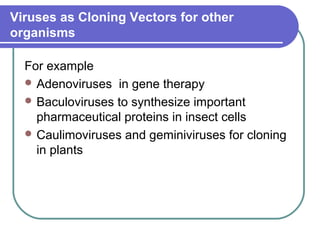 Plasmid and-its-genome-by shahla abid | PPT