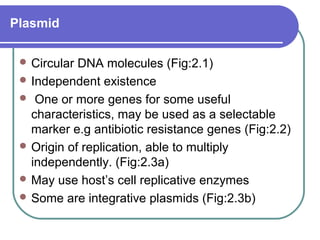 Plasmid and-its-genome-by shahla abid | PPT