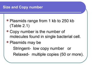 Plasmid and-its-genome-by shahla abid | PPT