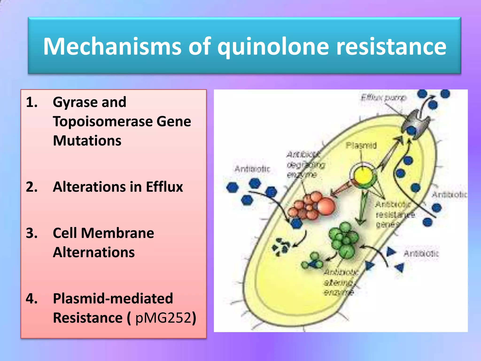 Plasmid mediated quinolone resistance | PPT