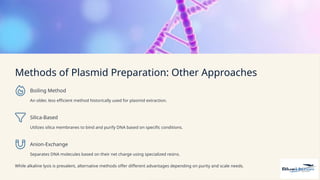 Plasmid-Preparation-From-Concept-to-Application.pptx