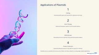 Plasmid-Preparation-From-Concept-to-Application.pptx