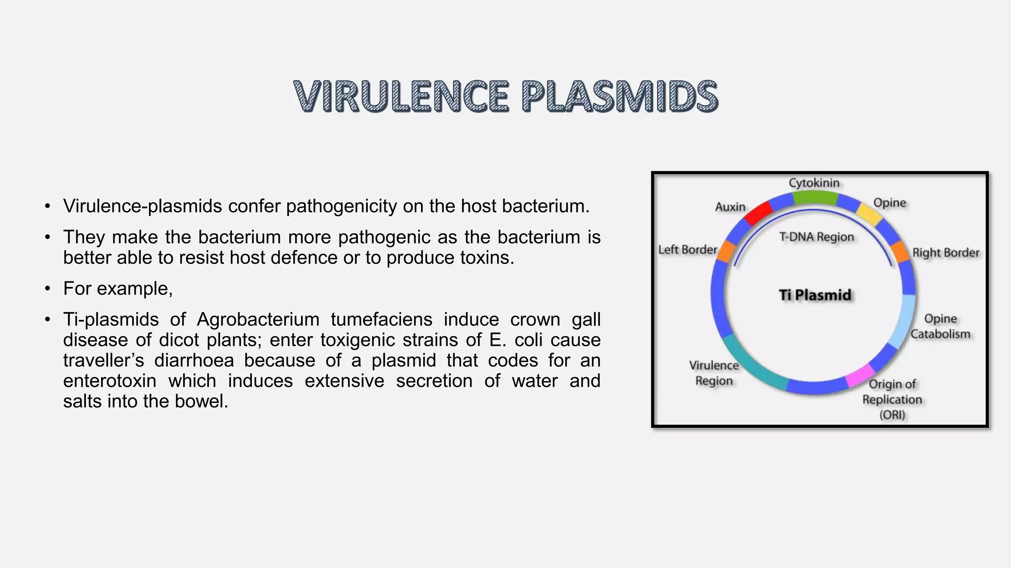 PLASMID - TYPES & ITS PROPERTIES.pptx