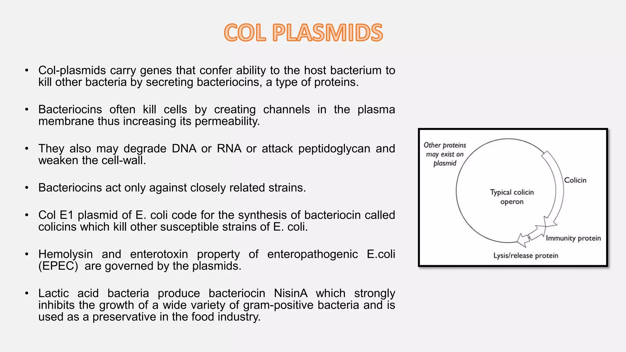 PLASMID - TYPES & ITS PROPERTIES.pptx