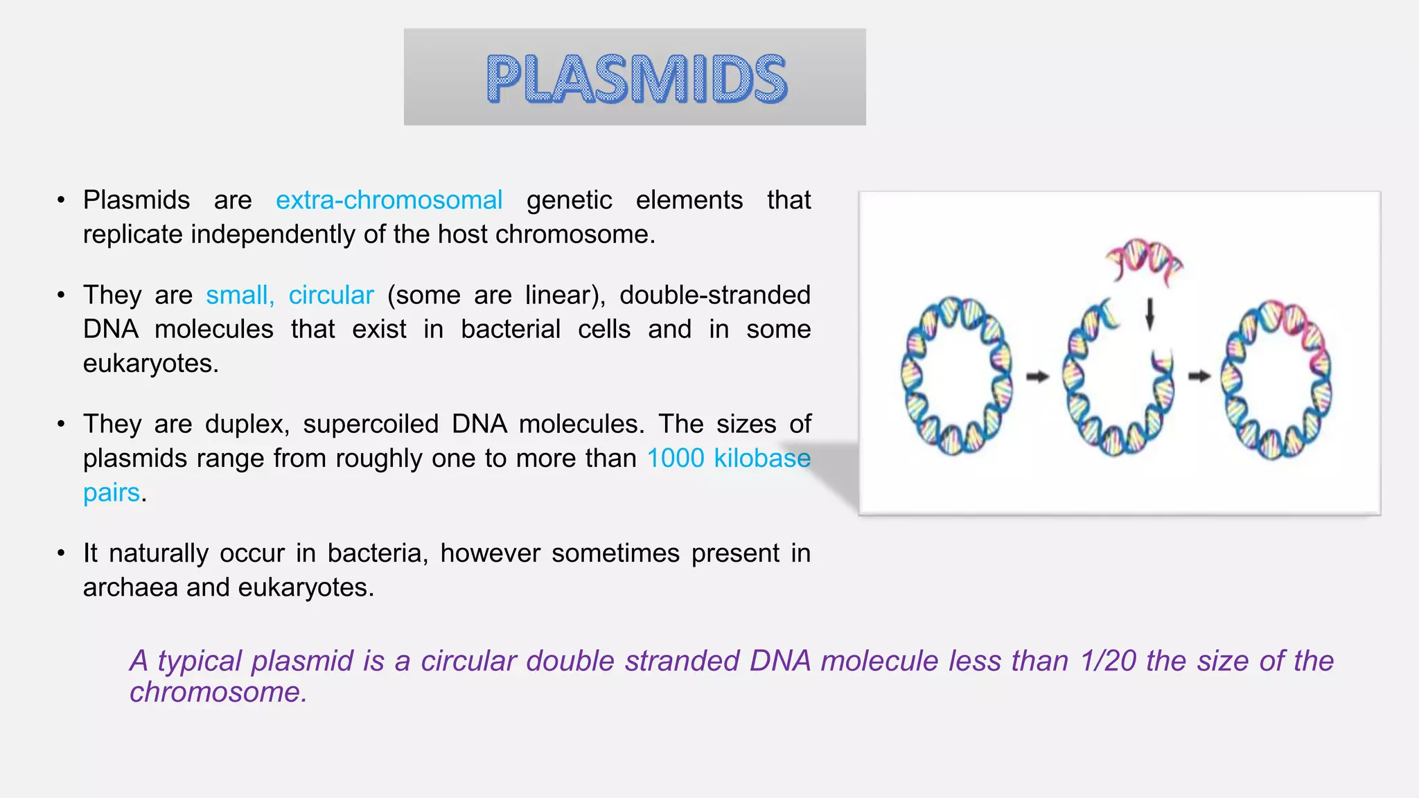 PLASMID - TYPES & ITS PROPERTIES.pptx