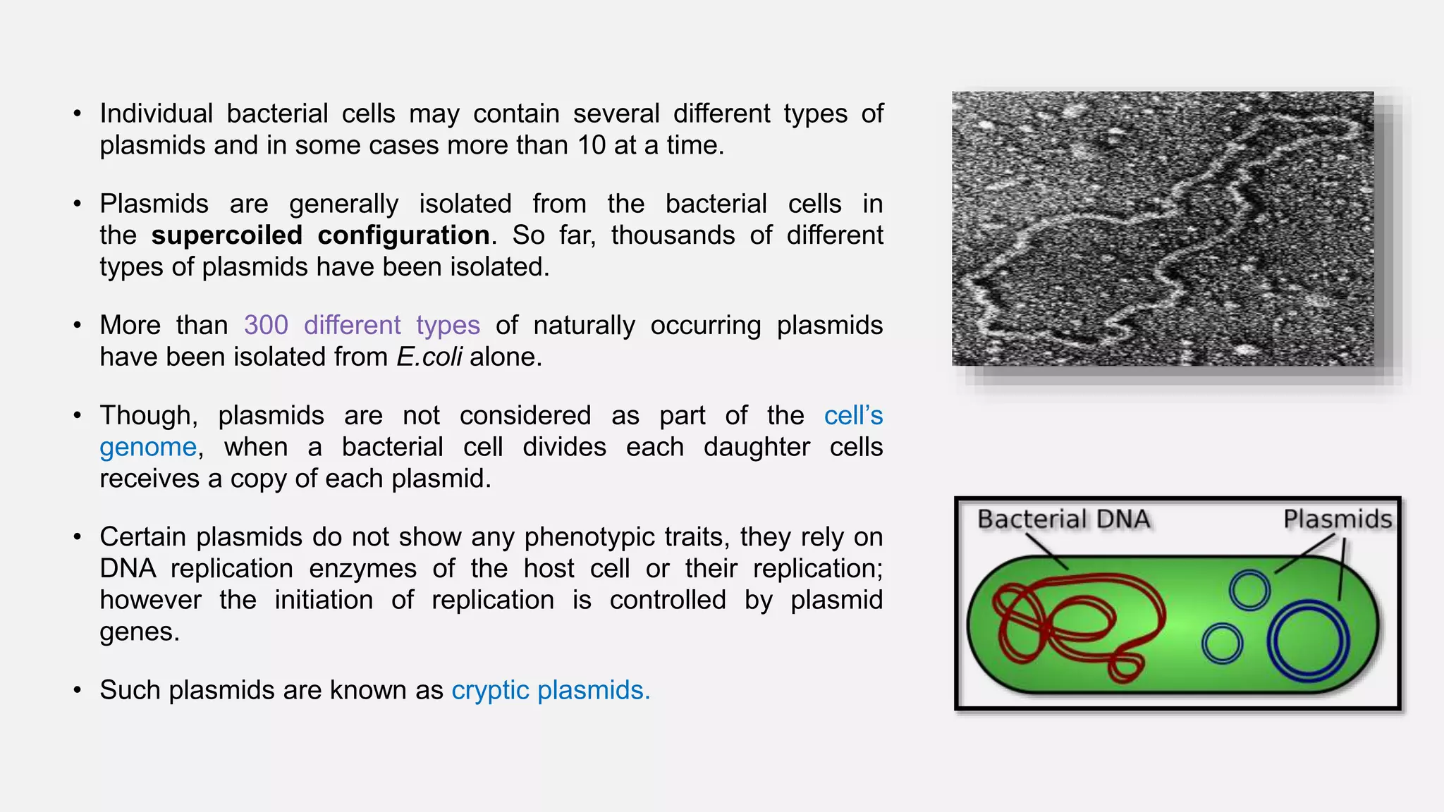 PLASMID - TYPES & ITS PROPERTIES.pptx
