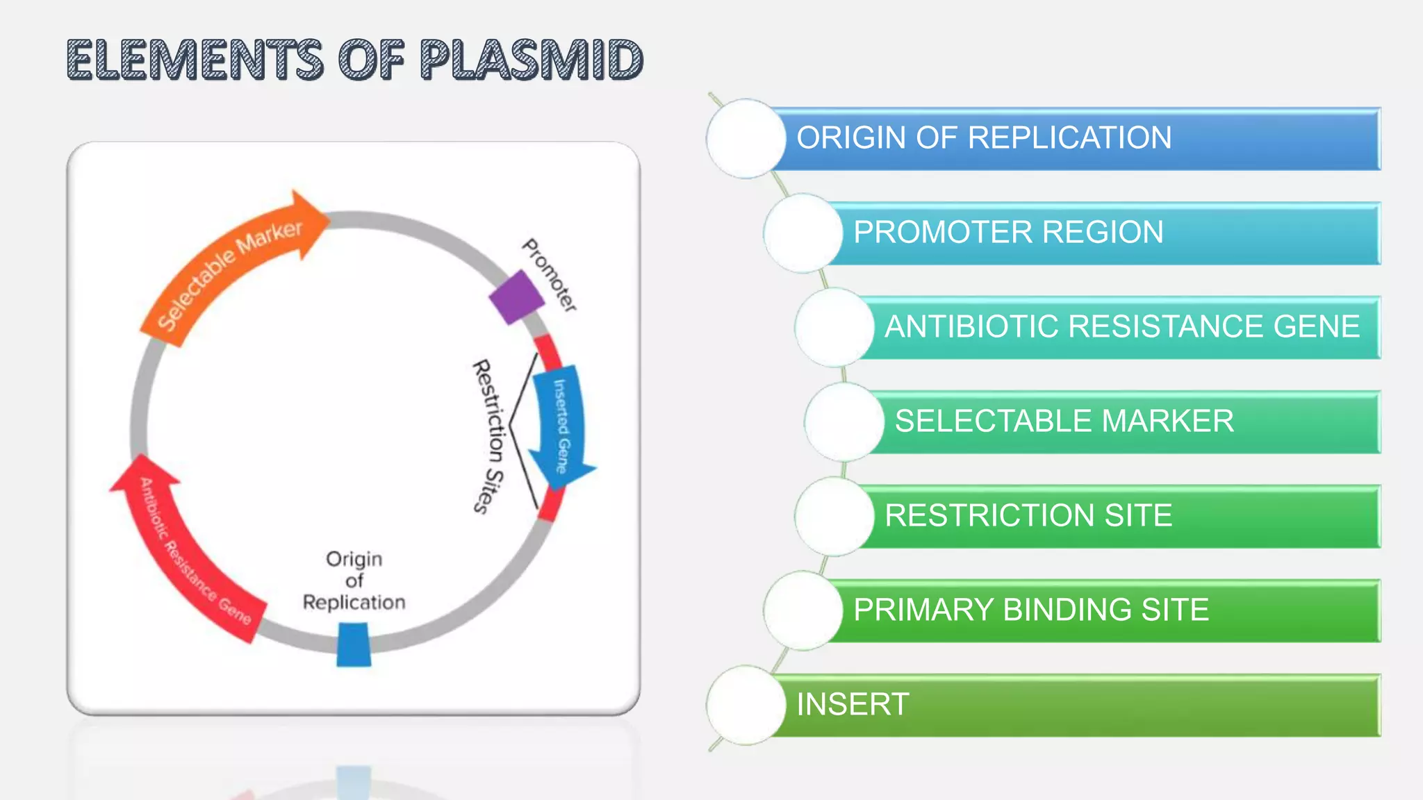 PLASMID - TYPES & ITS PROPERTIES.pptx