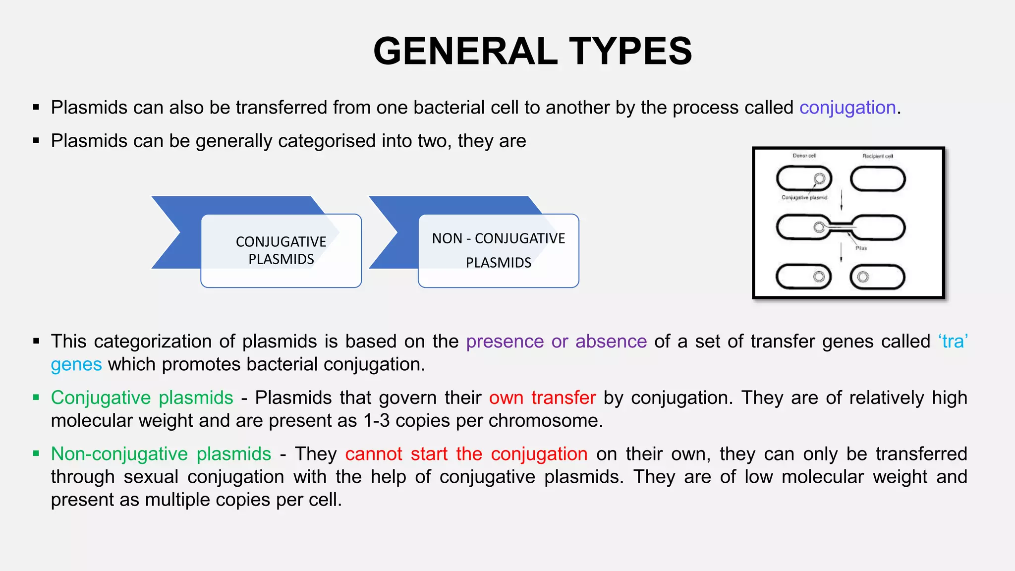 PLASMID - TYPES & ITS PROPERTIES.pptx