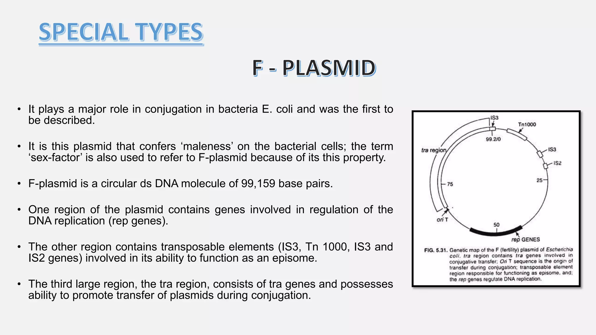 PLASMID - TYPES & ITS PROPERTIES.pptx