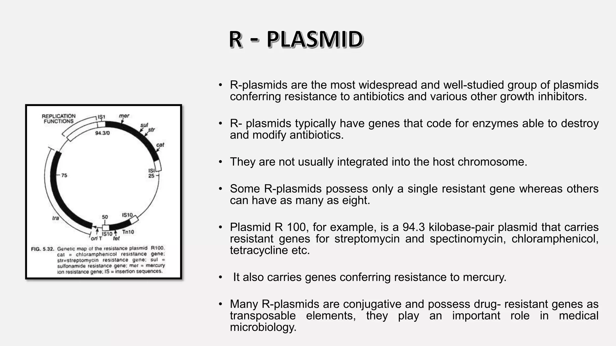 PLASMID - TYPES & ITS PROPERTIES.pptx