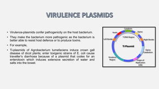 PLASMID - TYPES & ITS PROPERTIES.pptx
