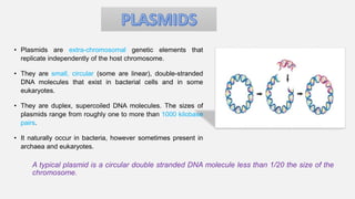 PLASMID - TYPES & ITS PROPERTIES.pptx