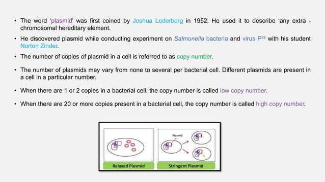 PLASMID - TYPES & ITS PROPERTIES.pptx