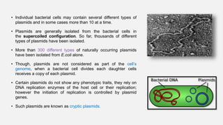 PLASMID - TYPES & ITS PROPERTIES.pptx