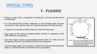 PLASMID - TYPES & ITS PROPERTIES.pptx