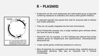 PLASMID - TYPES & ITS PROPERTIES.pptx
