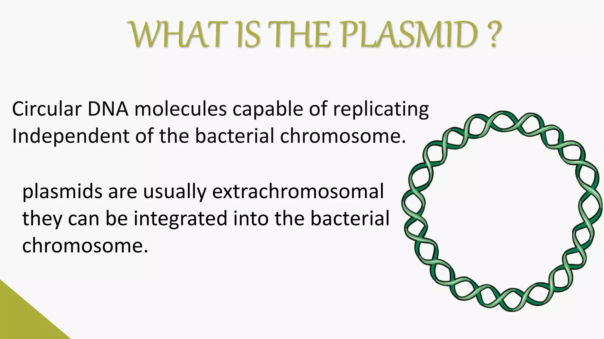 Plasmid and genetic recombination | PPT