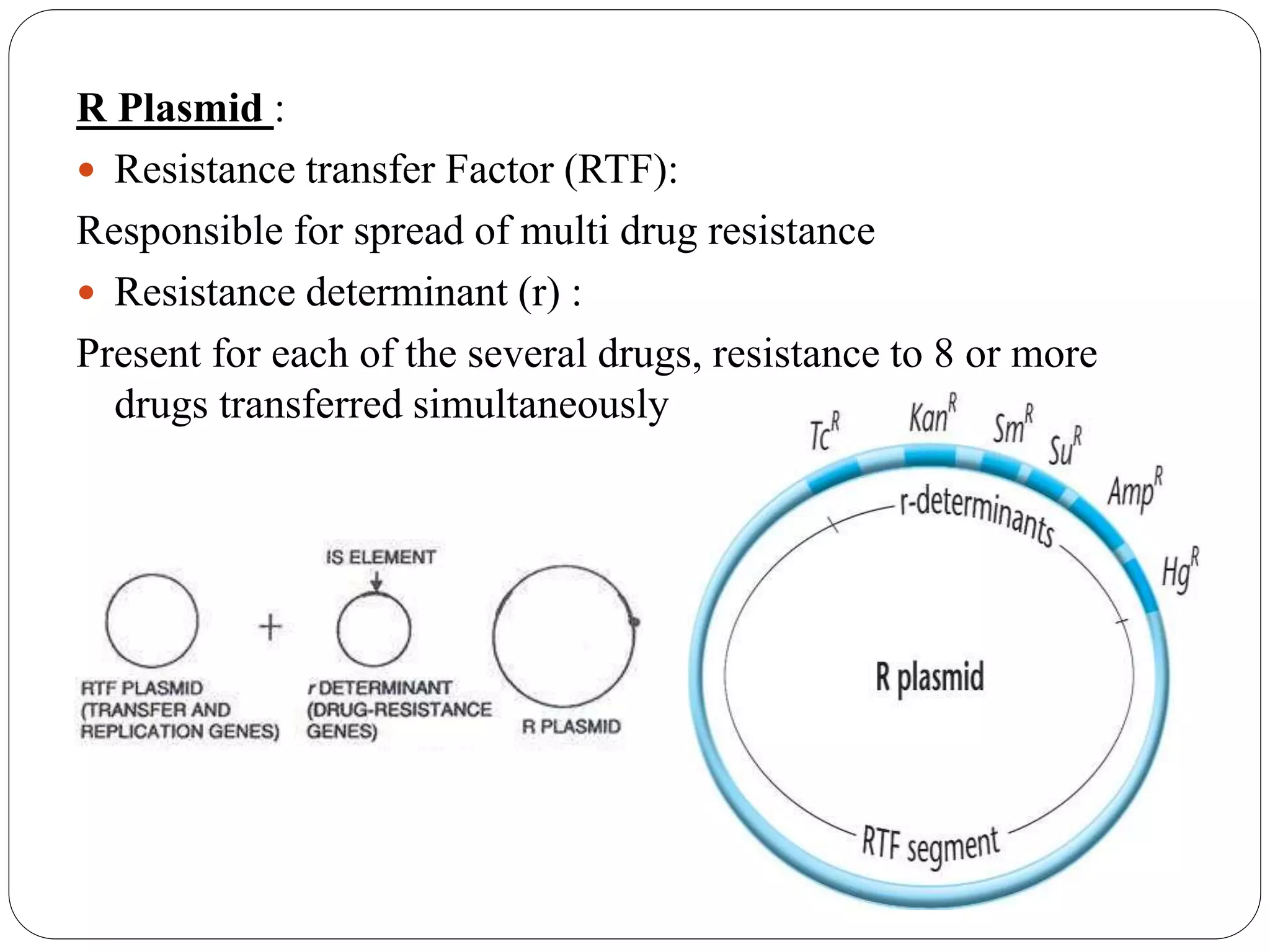 PLASMID AND ITS IMPORTANCE mod.pptx