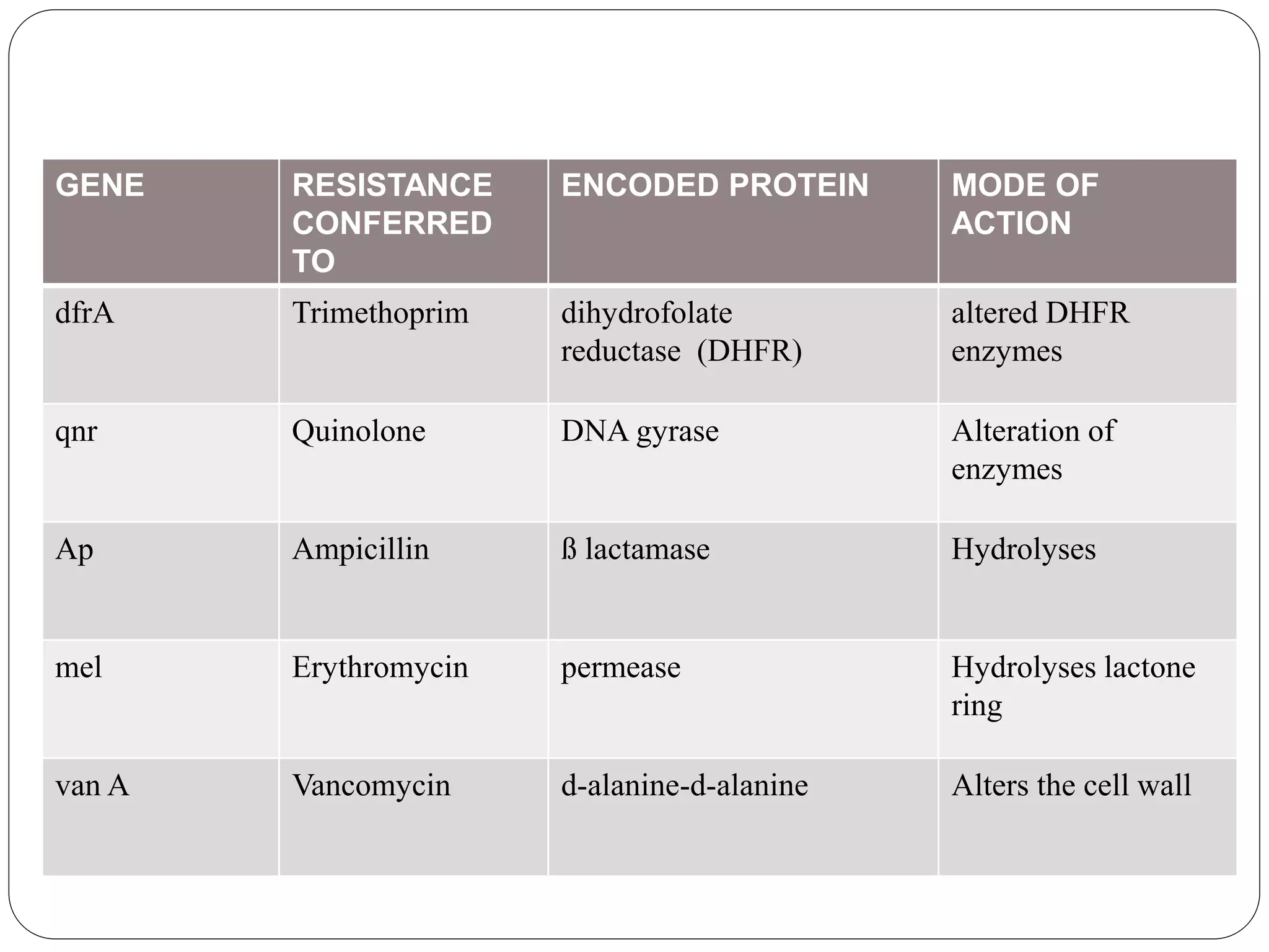 PLASMID AND ITS IMPORTANCE mod.pptx
