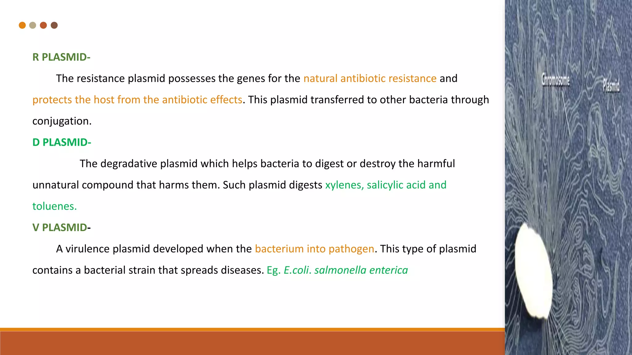PLASMID AND ITS TYPES.pptx