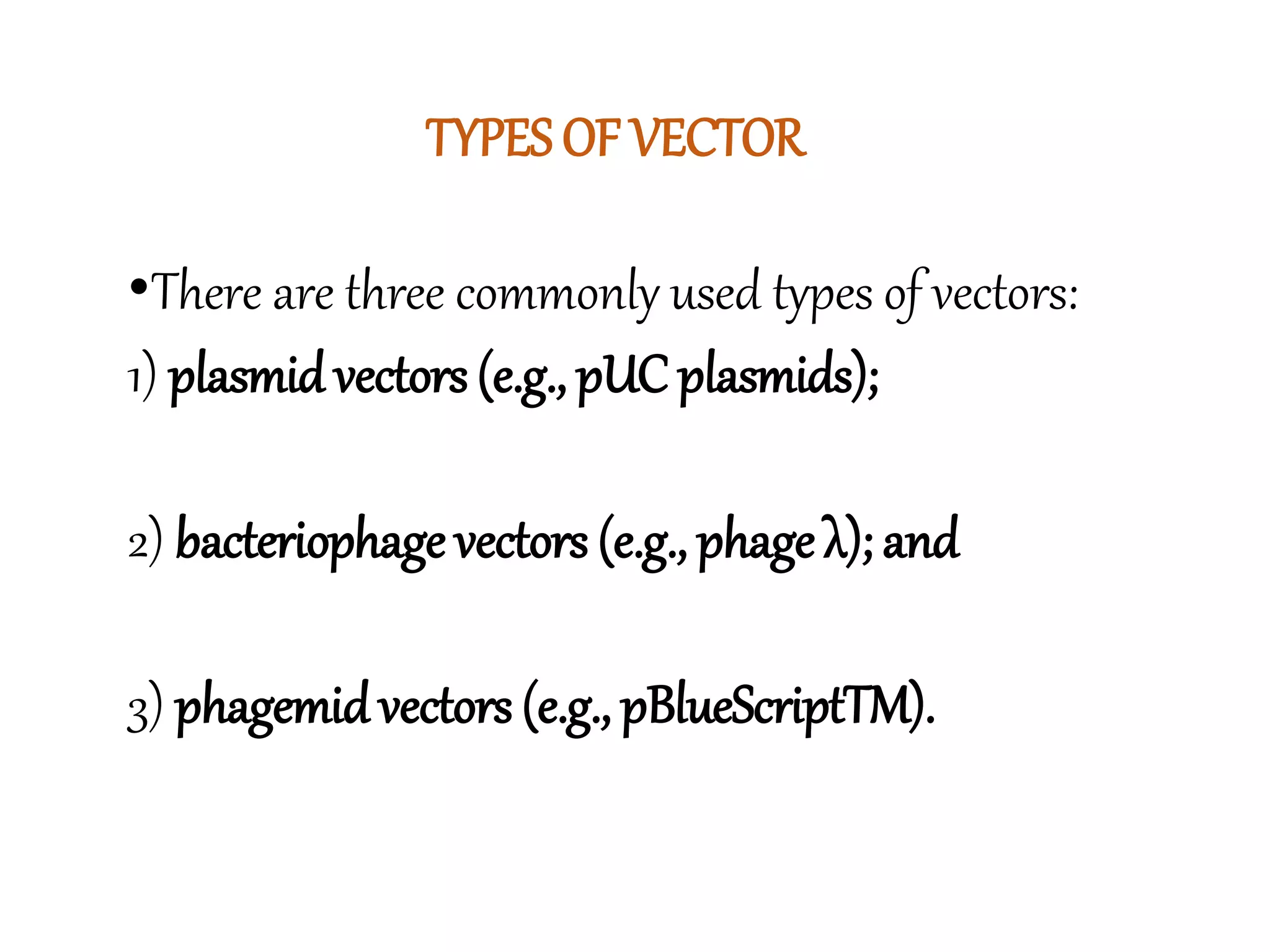 Plasmid and phage vector | PPTX