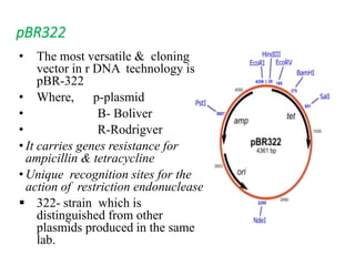 Plasmid and phage vector | PPTX