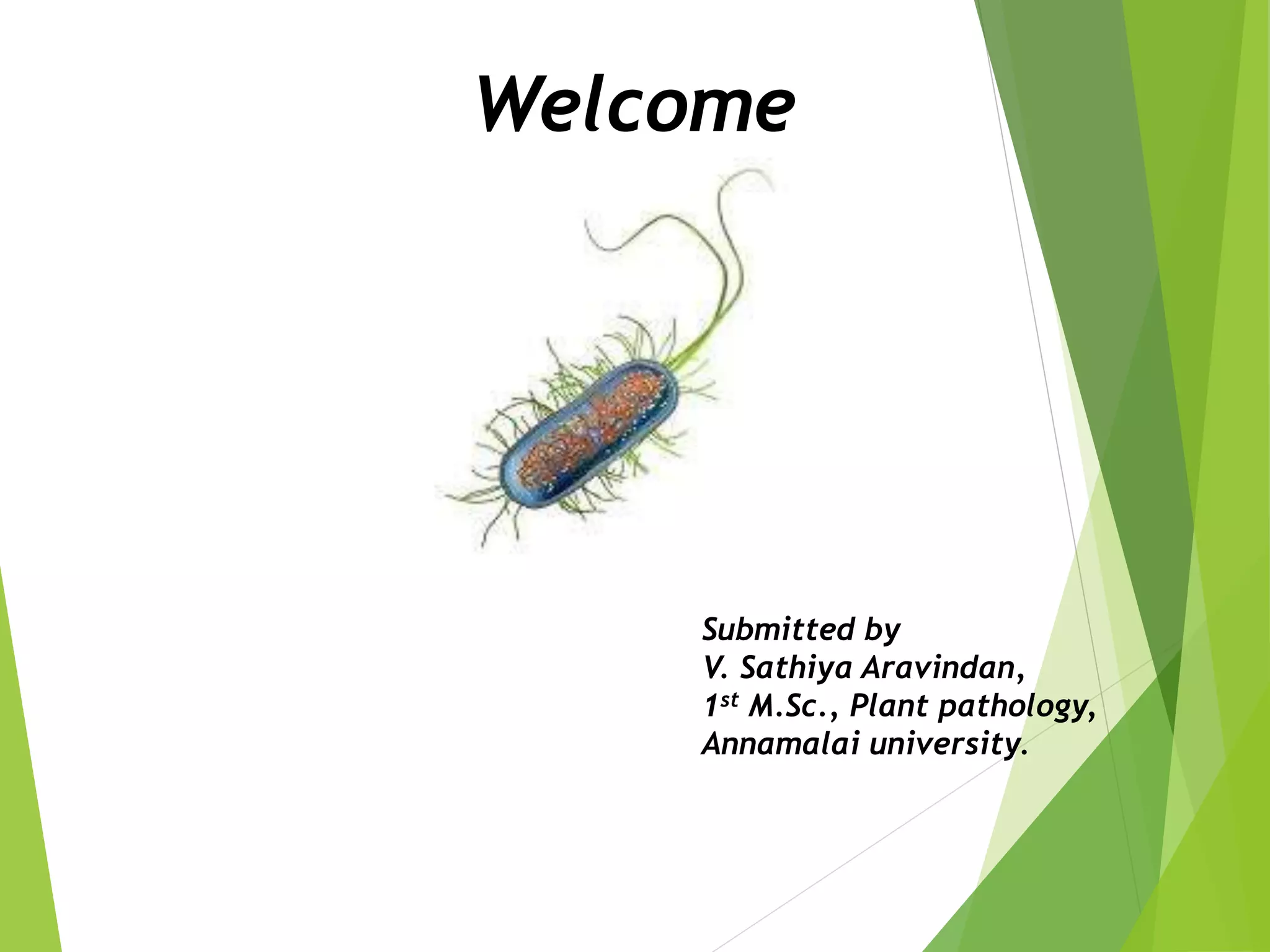 PLASMID BORNE GENE EXPRESSION IN PROKARYOTES.pptx