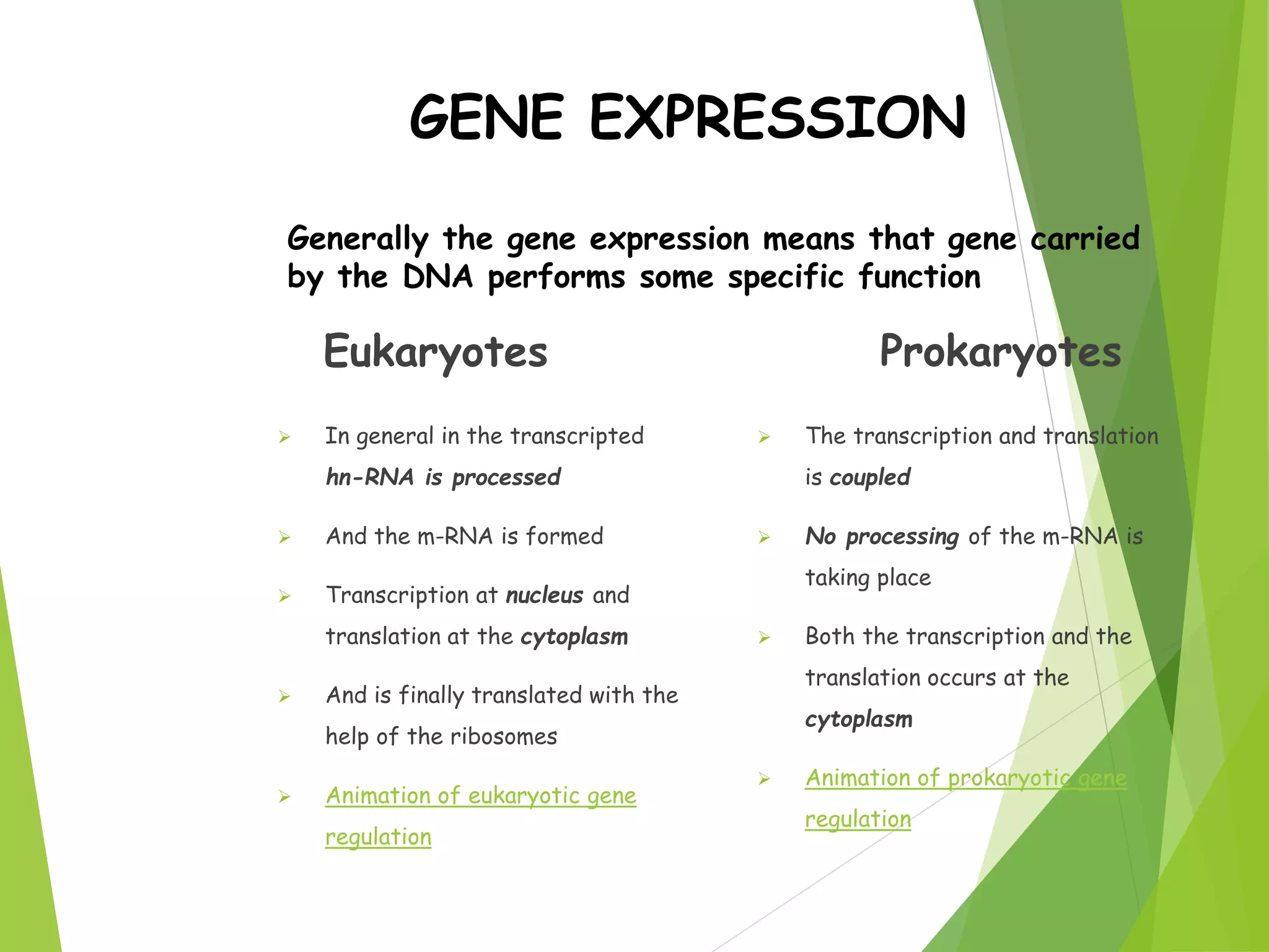 PLASMID BORNE GENE EXPRESSION IN PROKARYOTES.pptx
