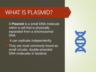 Plasmid by ASNAD KHAN | PPTX