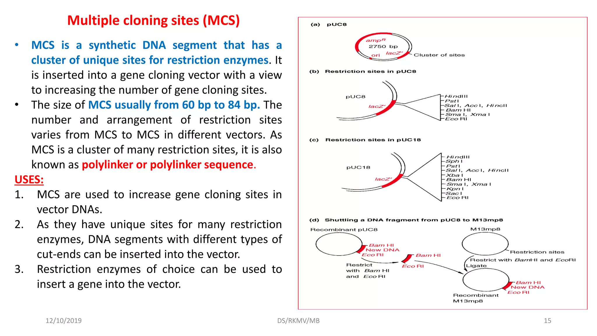 PLASMID CLONING VECTORS.pdf