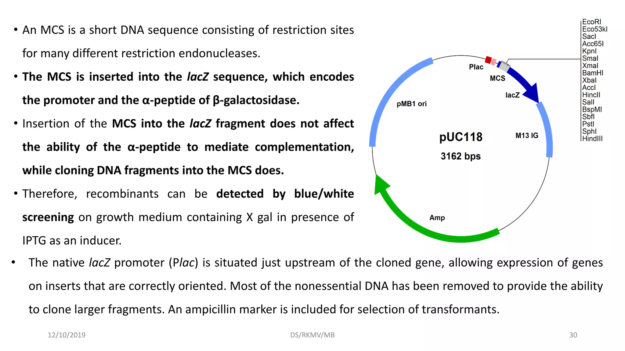 PLASMID CLONING VECTORS.pdf